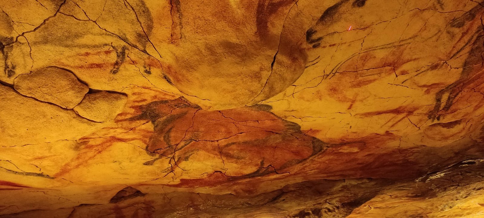 Cómo visitar las Cuevas de Altamira: entradas, horarios... 🏞️ | BdeViajes
